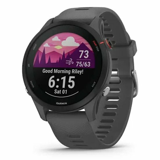 Спортивные часы Garmin Forerunner 255 Basic серые