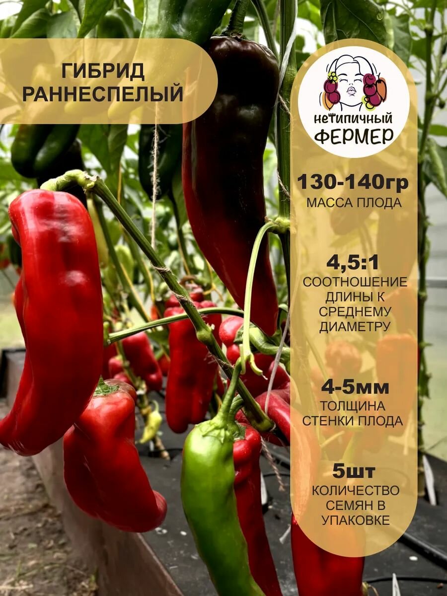 Семена перца Нетипичный фермер "Ласанта", однолетние, 2 упак. — фото 1