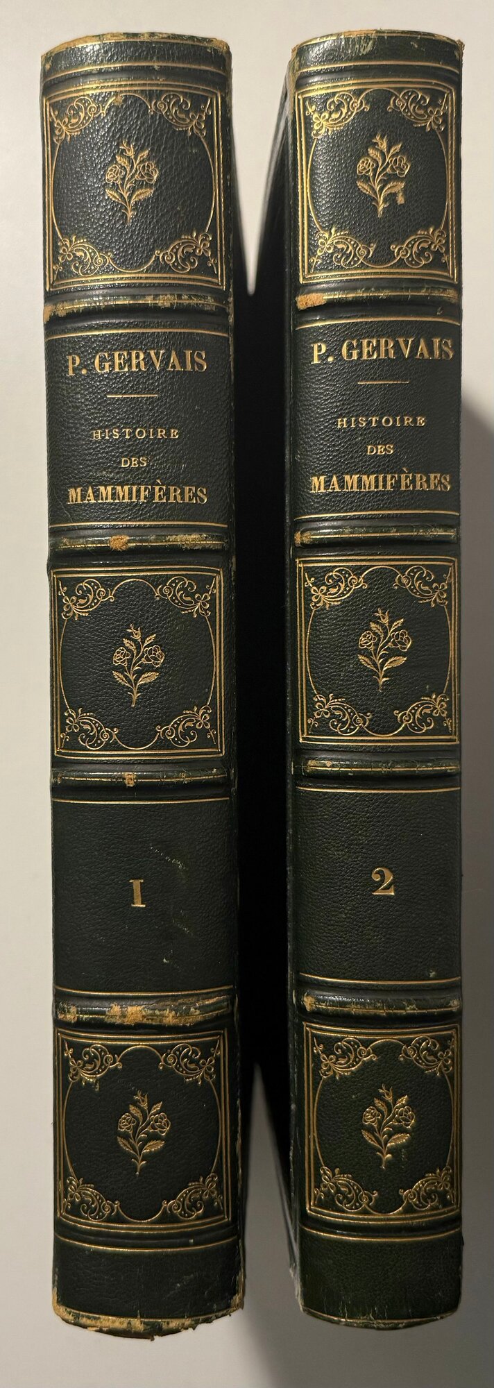 Paul Gervais: Histoire naturelle des Mammifеres / Поль Жерве: Естественная история млекопитающих (Тома 1,2. 1850 год)