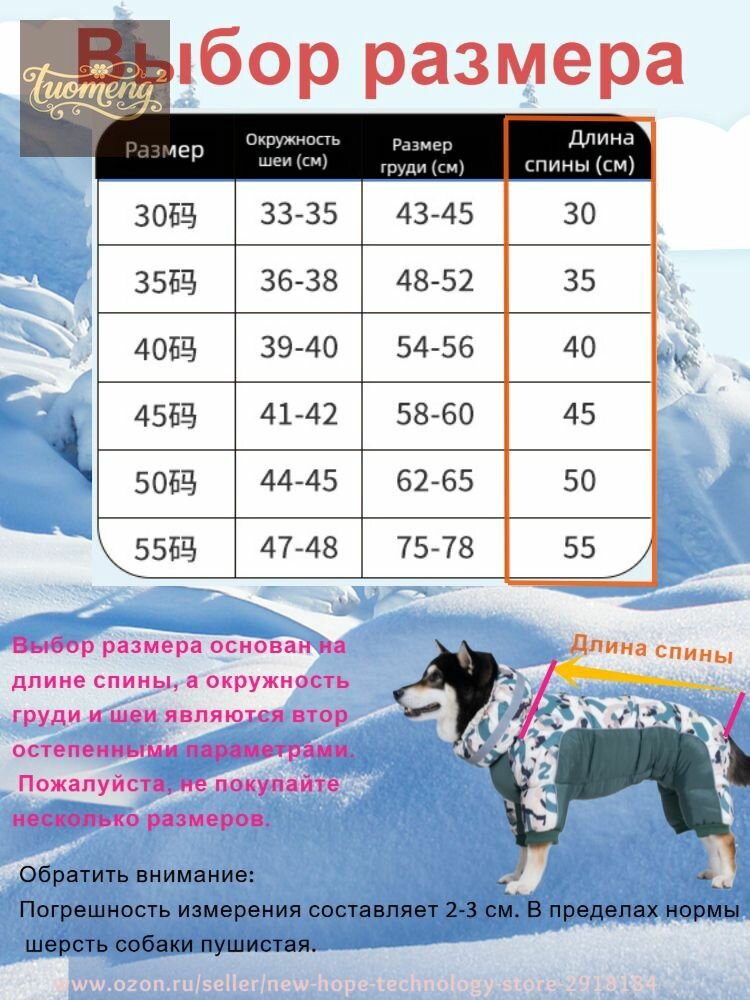 Одежда для животных — фото 1