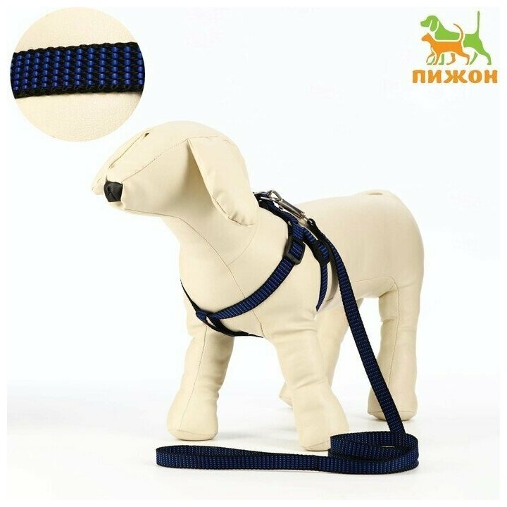 Комплект амуниции рельефный, поводок 120 х 1,5 см, ОГ 36-49 см, сине-чёрный