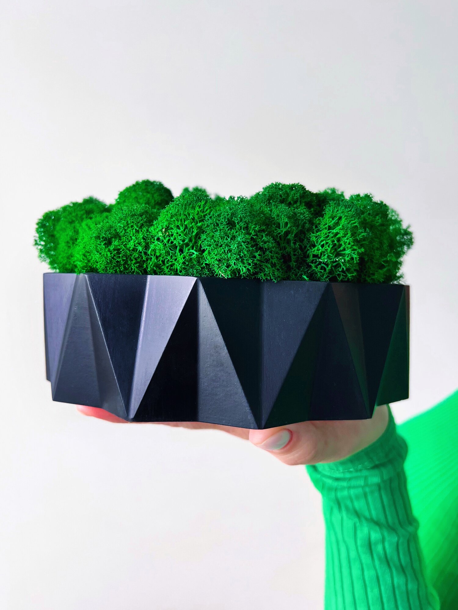 Кашпо со стабилизированным мхом Molecula Decor