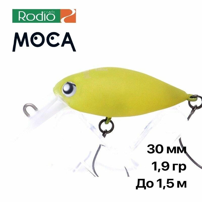 Воблер форелевый Rodio Craft Fat Moca DR 2 Hook F, 30 мм, 1,9 гр, #31 19