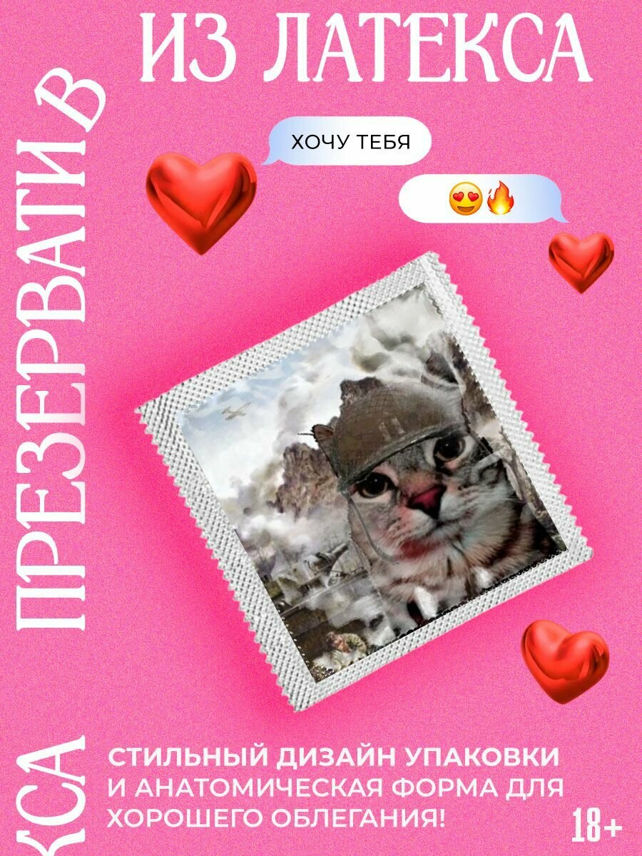 Презервативы, 18+, Котики