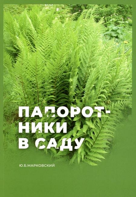 Папоротники в саду. Марковский Ю. Б.