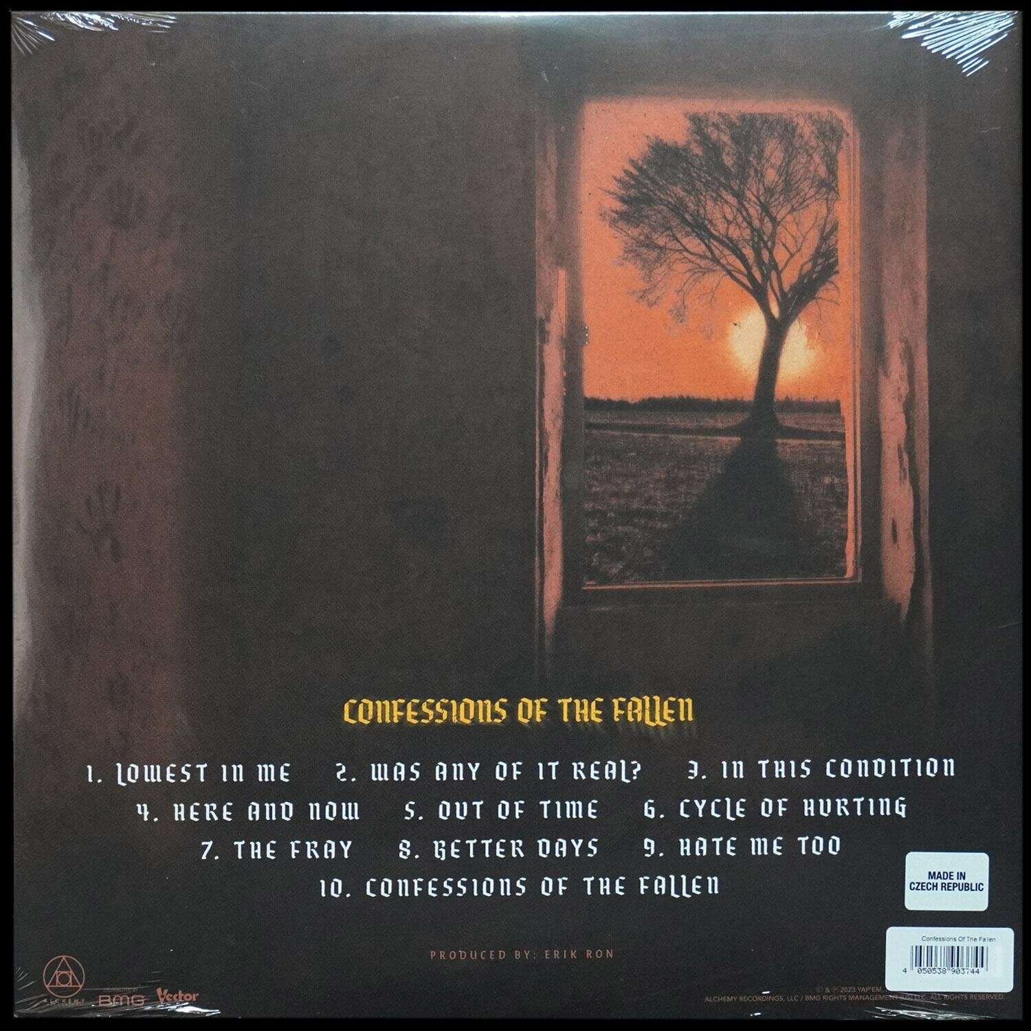 Confessions Of The Fallen