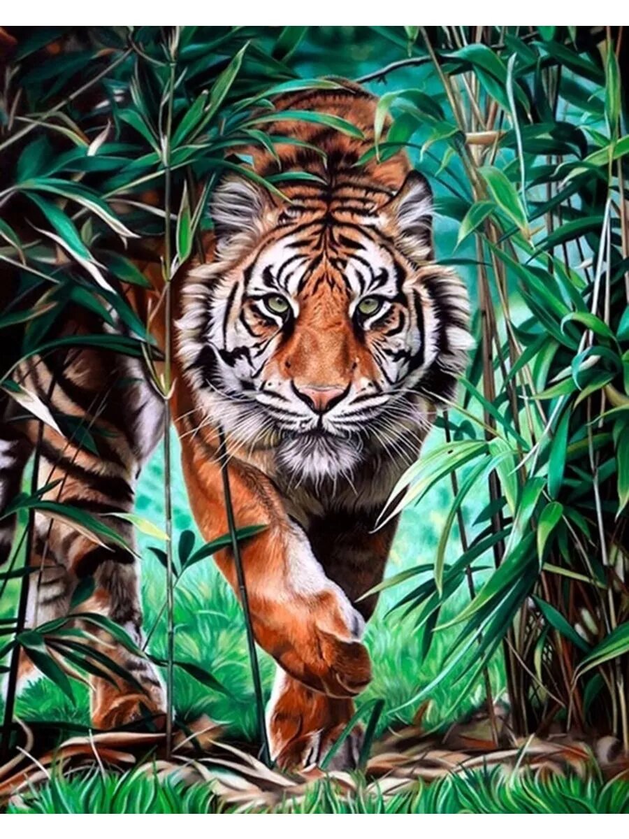 Картина по номерам Крадущийся тигр 40х50 см