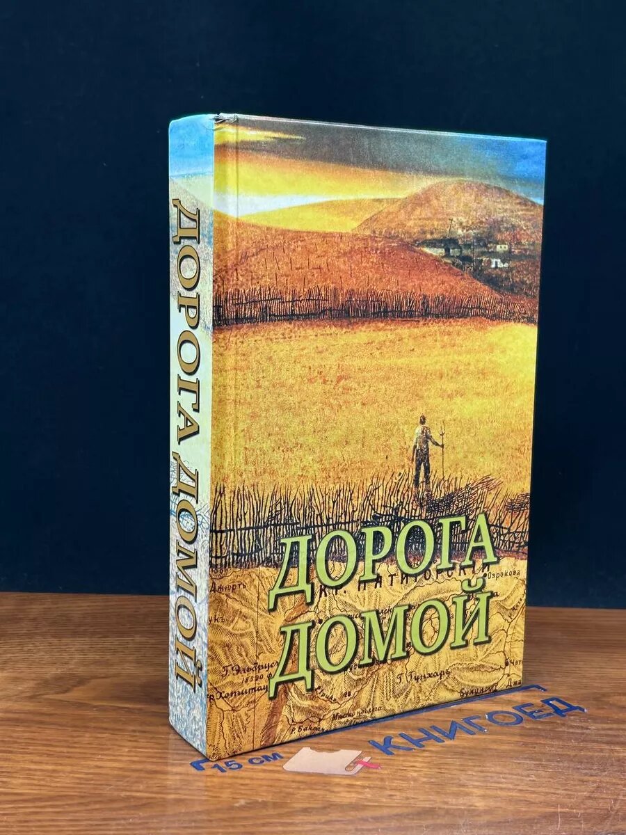 Книга. Дорога домой 2011 (2040982181289)