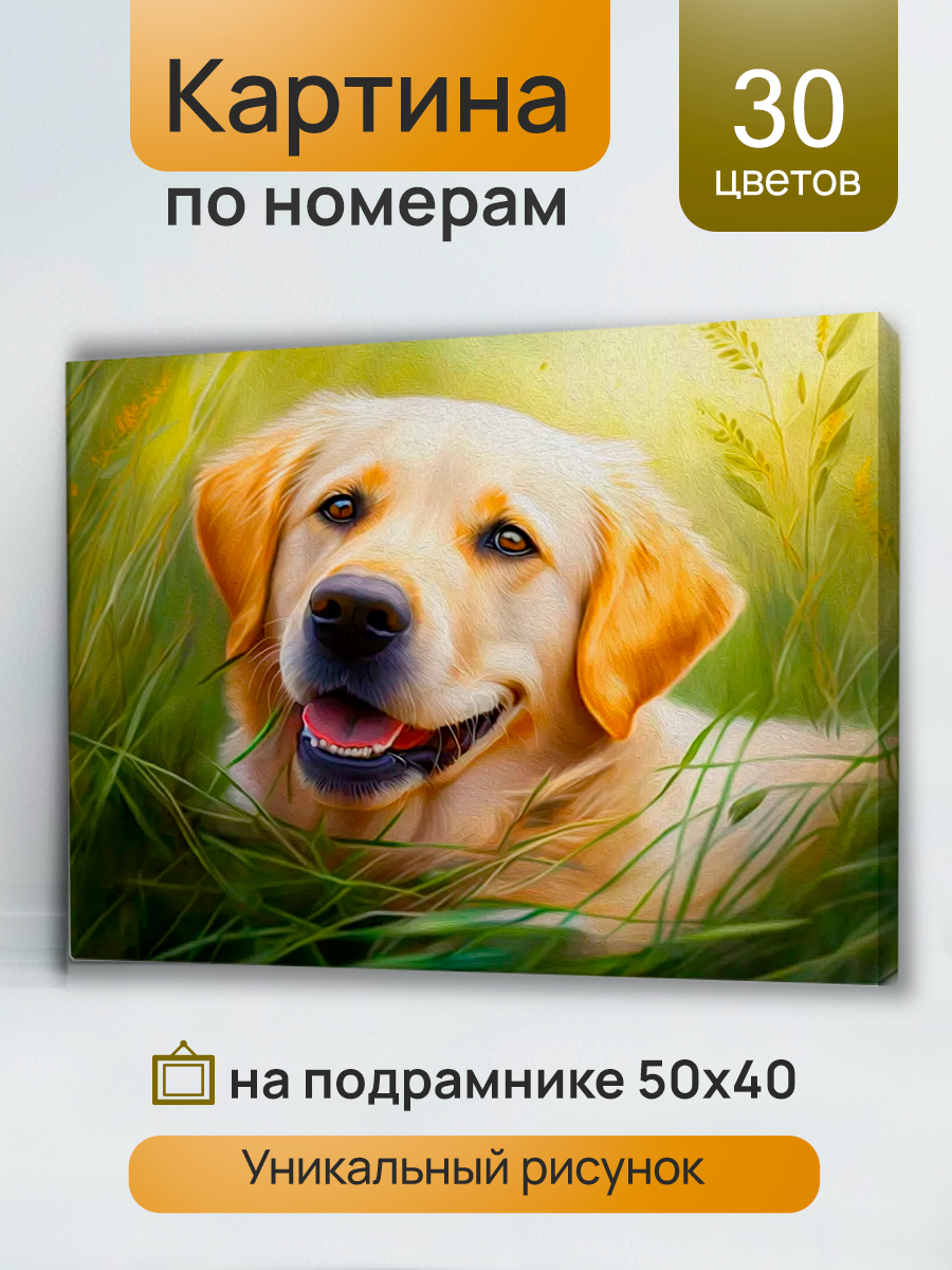 Холст с красками по номерам "Друг мой, лабрадор" 50х40 см. От бренда Jazzle. Артикул 1123107