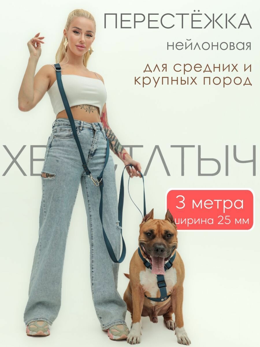 Перестежка Хвостатыч для собак PRO прошитая нейлон 3 м х 25 мм (темно-синий)