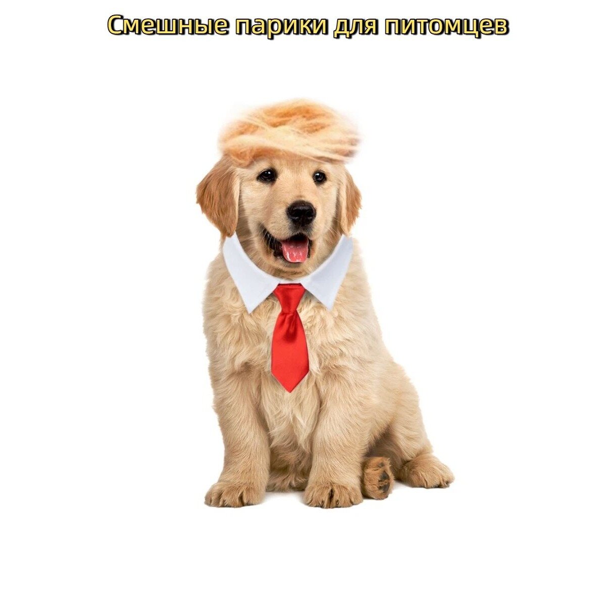 Парик для косплея домашних животных, Забавный парик для животных