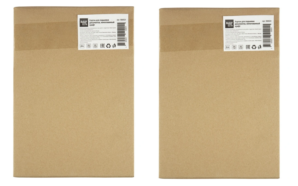 Картон белый для подшивки документов Выбор есть, А4, 100 листов, немелованный, 260 г/м2 - 2 пачки