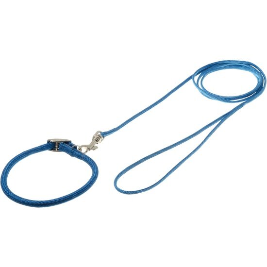 Комплект V.i.pet 6мм х 26см (19-22 см) ошейник круглый + поводок 3мм х 1,2м ультрамарин