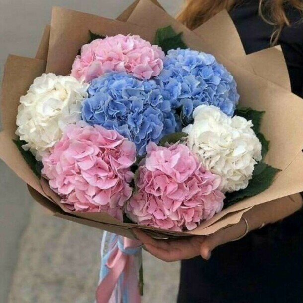 Букет Well Flowers "Гортензии", XL, круглый, в крафтовой упаковке, 7 шт, букет свежих цветов