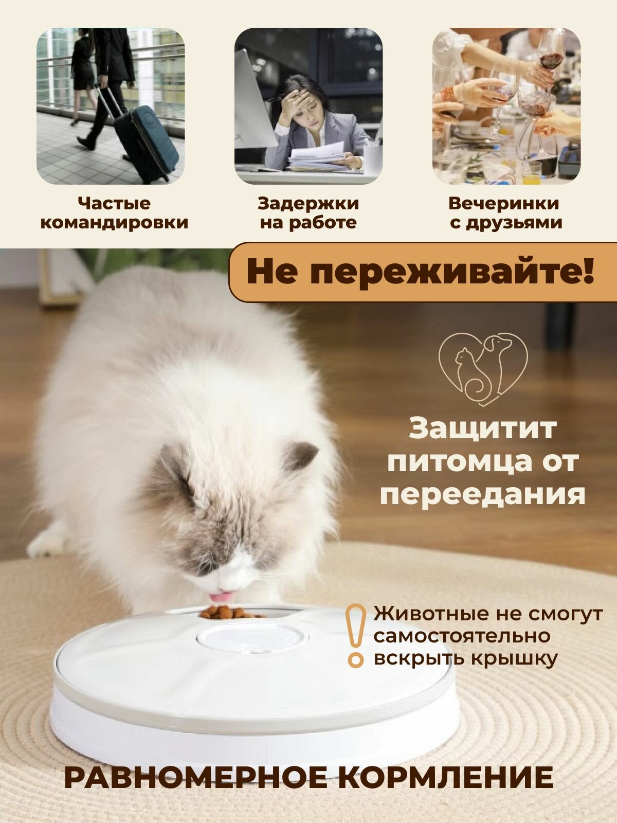 Автокормушка — фото 1