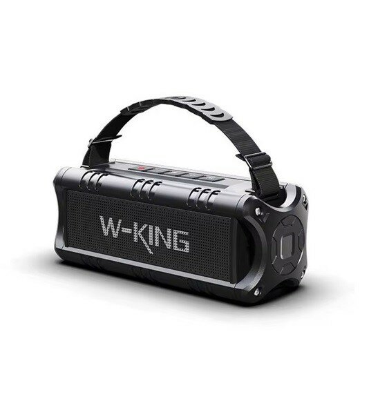 Портативная колонка W-King D8 MINI (черный)