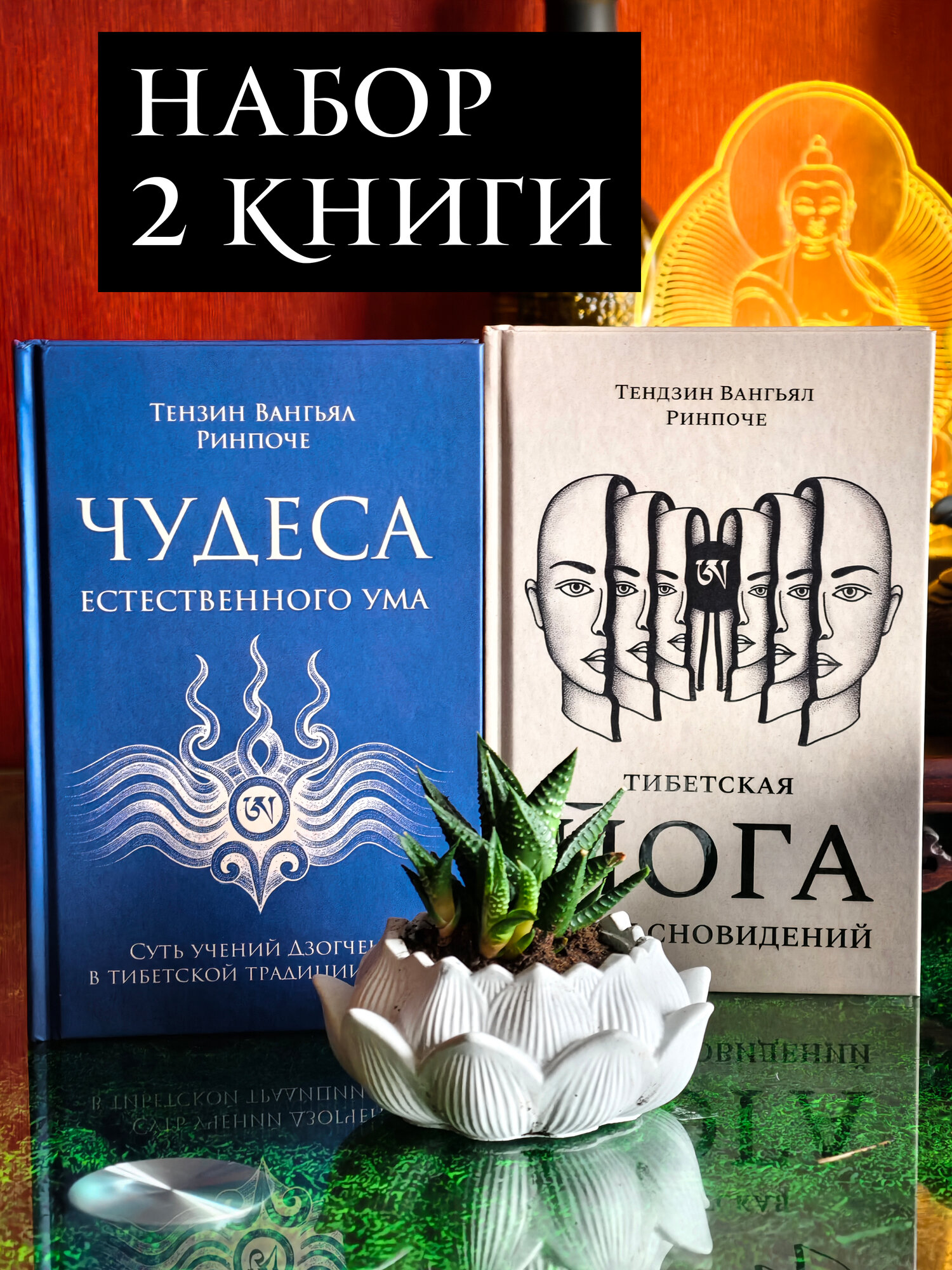Тензин Вангьял Ринпоче Чудеса естественного ума + Тибетская йога сна и сновидений