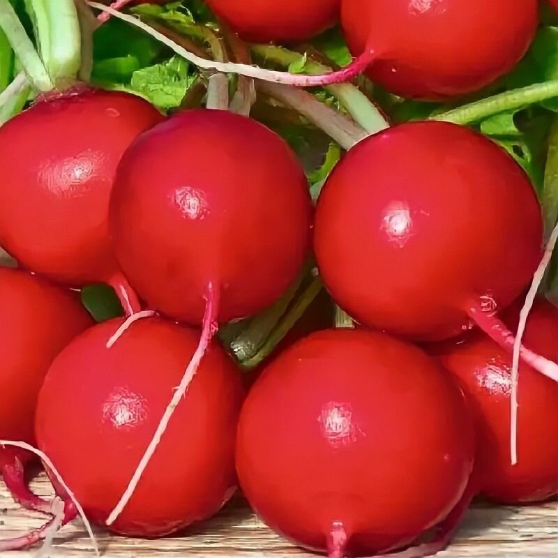 Коллекционные семена редиса Кис-Кис