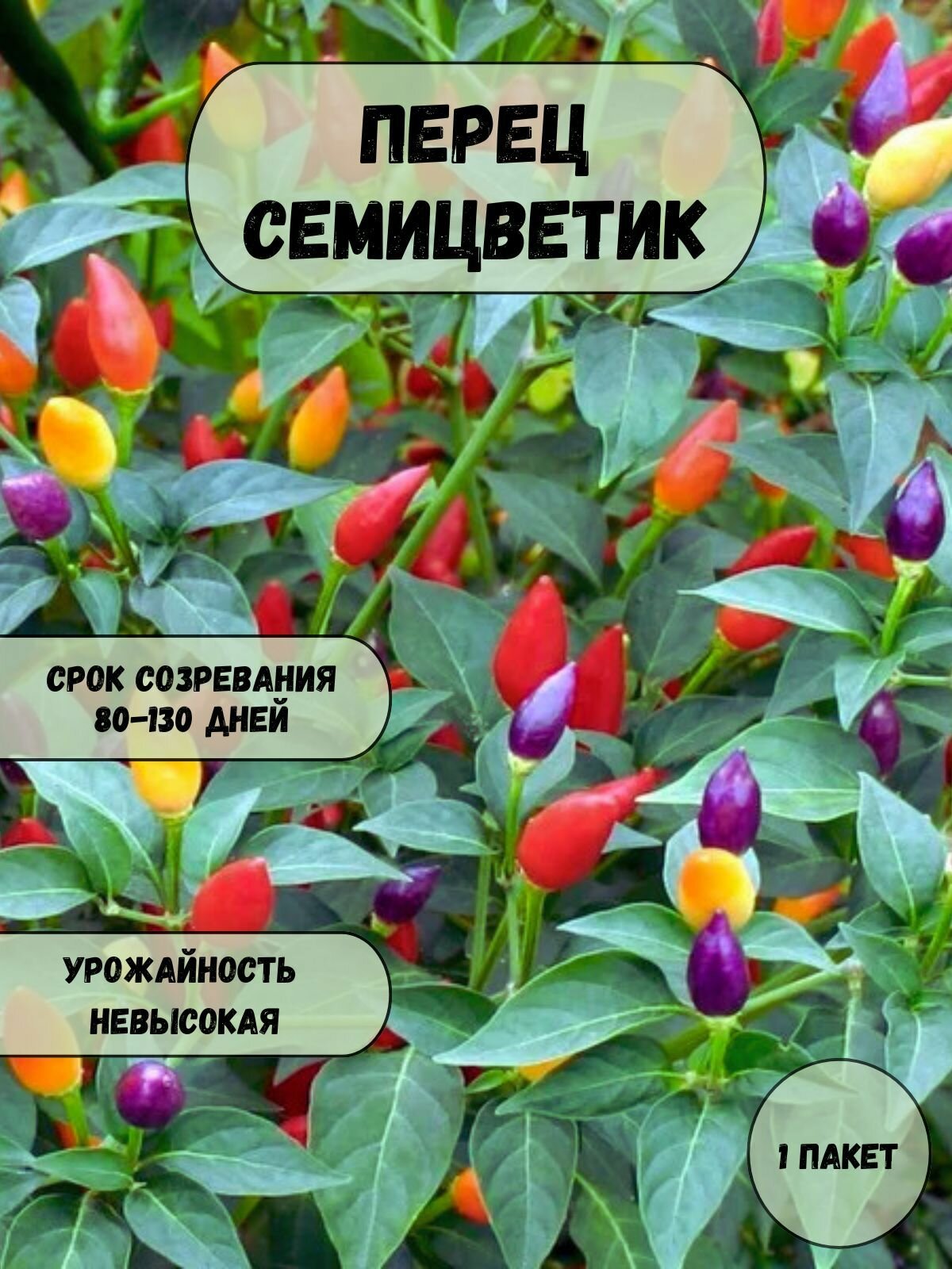 Перец декоративный Семицветик семена 10 шт