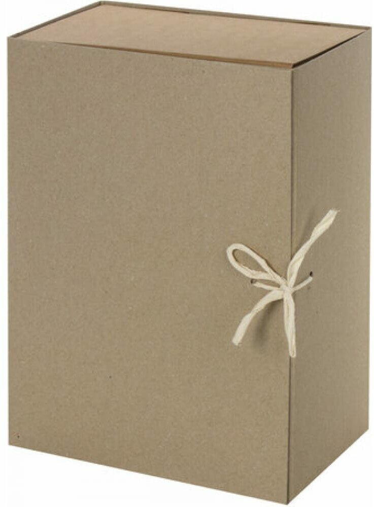 Архивный короб Staff 111957