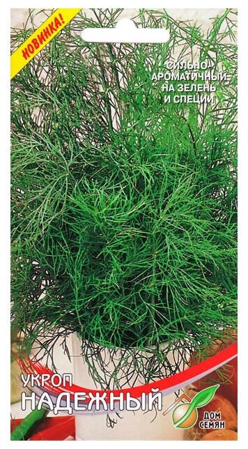 Надежный Дом Семянсемена укропа для огорода, ароматный и урожайный сорт