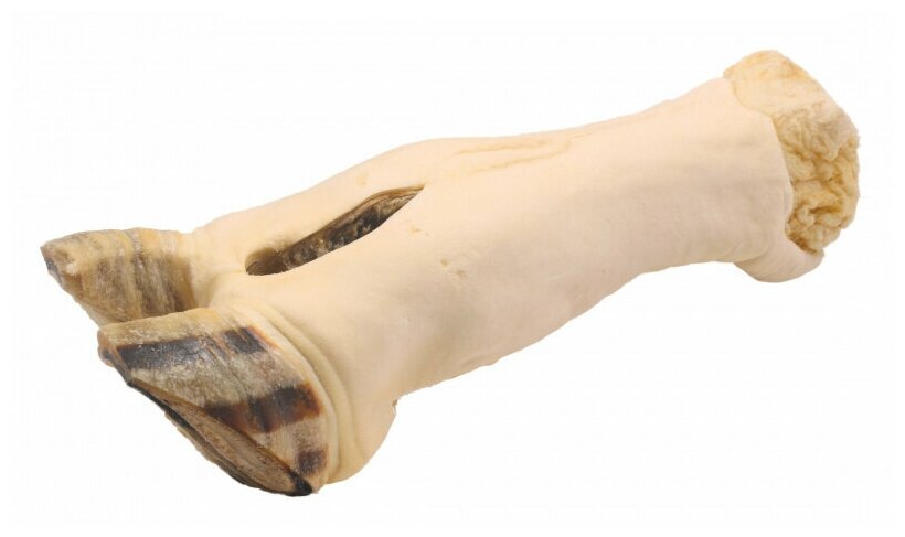 Лакомство для собак крупных и средних пород TitBit, нога говяжья малая 737г 5 шт