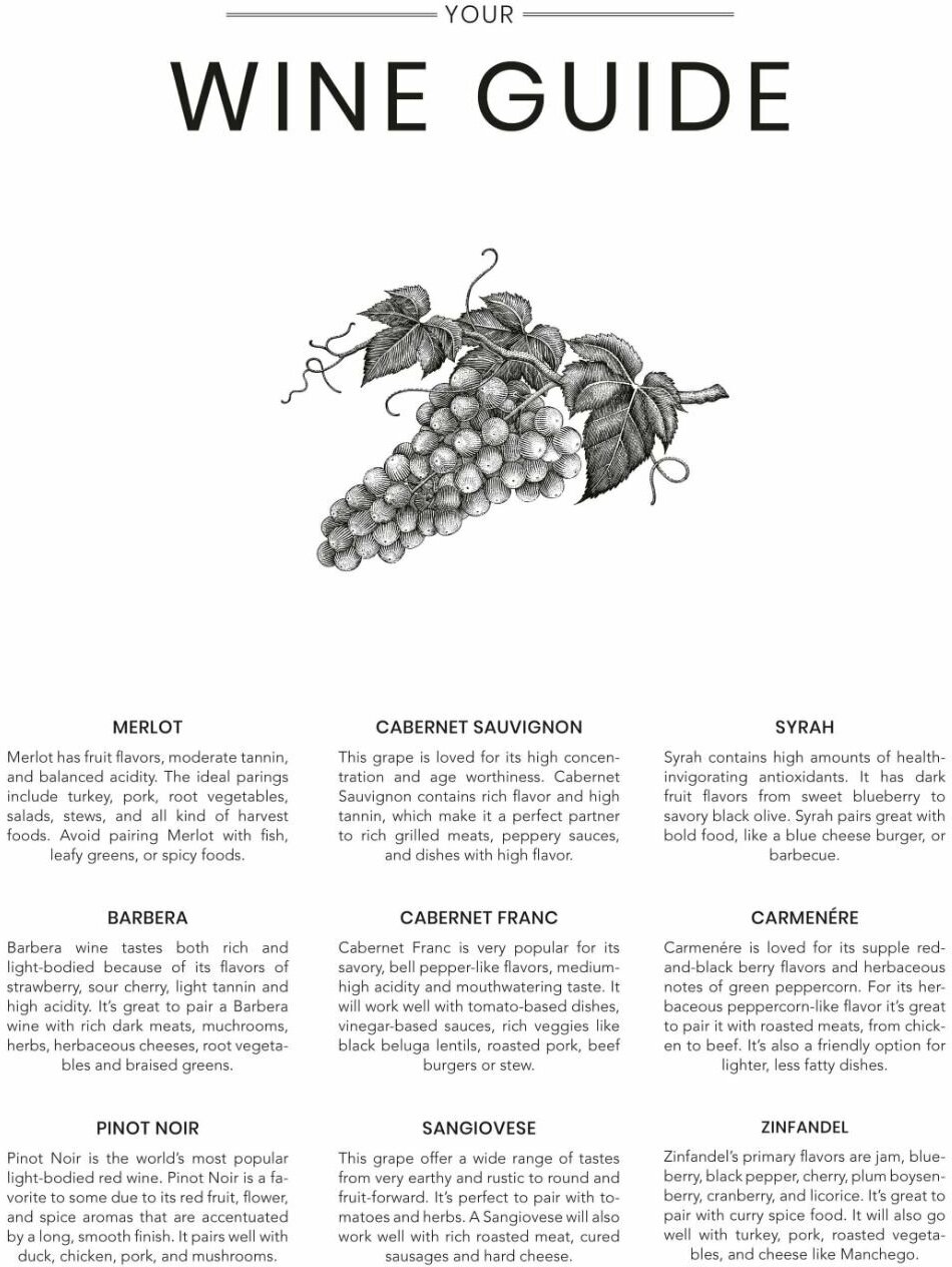 Постер / Плакат / Картина Гайд по Вину 40х50 см в подарочном тубусе