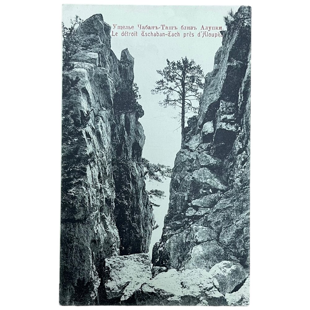 Почтовая открытка "Ущелье Чабан-Таш, близ Алупки" 1900-1917 гг. Российская Империя