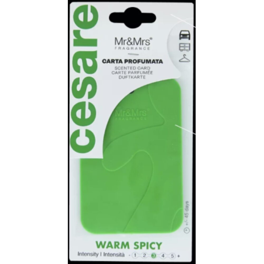 Mr&Mrs Fragrance Аромакарточка для автомобиля CESARE CARD зеленая WARM SPICY Острые специи