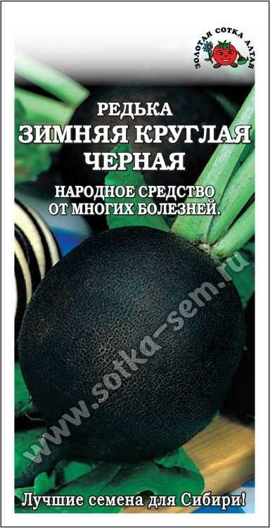 Семена редьки Алтайская Золотая "Зимняя Круглая черная", 2 г, среднеспелый
