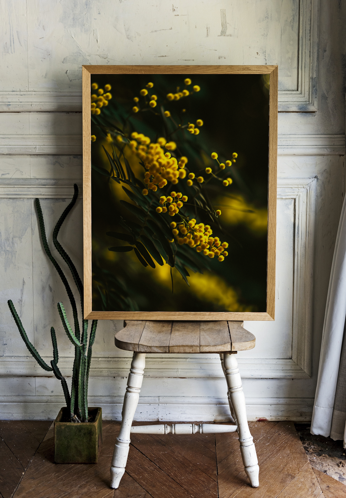 Постер "Жёлтая мимоза в сумерках" 40x50 см в подарочном тубусе