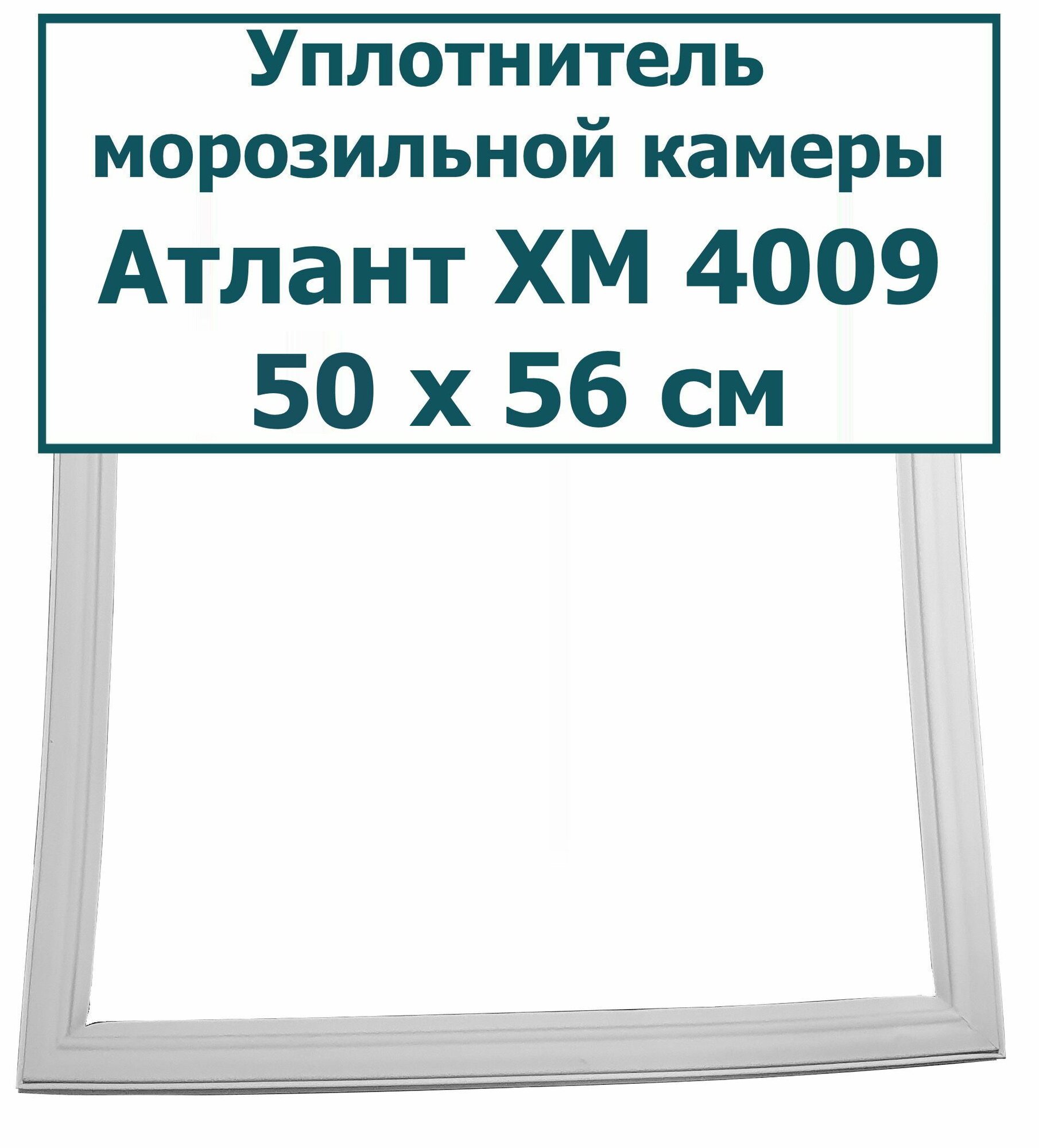 Уплотнитель (резинка) для двери морозильной камеры холодильника Атлант (Atlant) ХМ 4009, 50 x 56 см (500 x 560 мм)