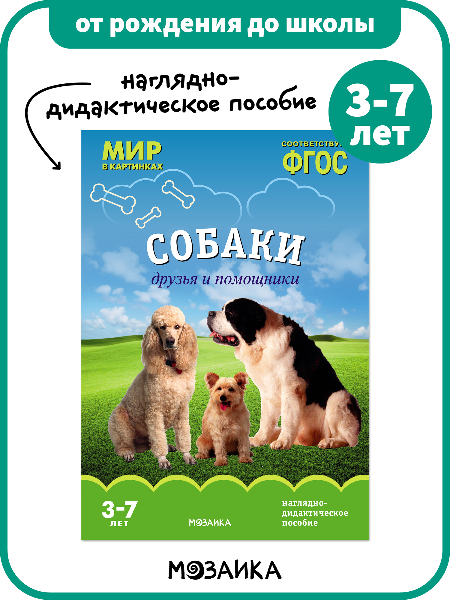 Наглядно дидактическое пособие от рождения до школы для детей 3-7 лет, Собаки, Друзья и помощники, Мир в картинках, ФГОС
