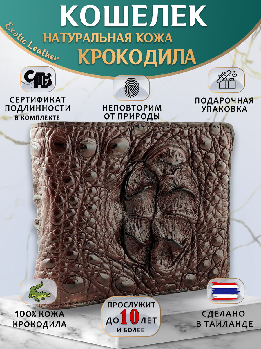 Бумажник