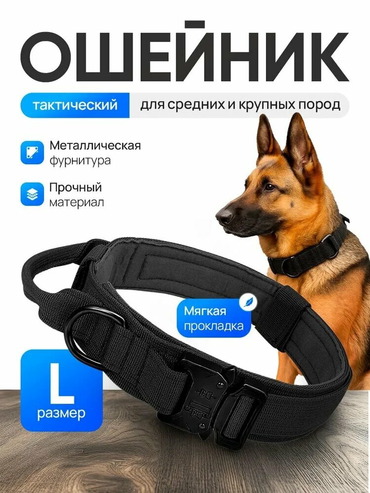 Ошейник