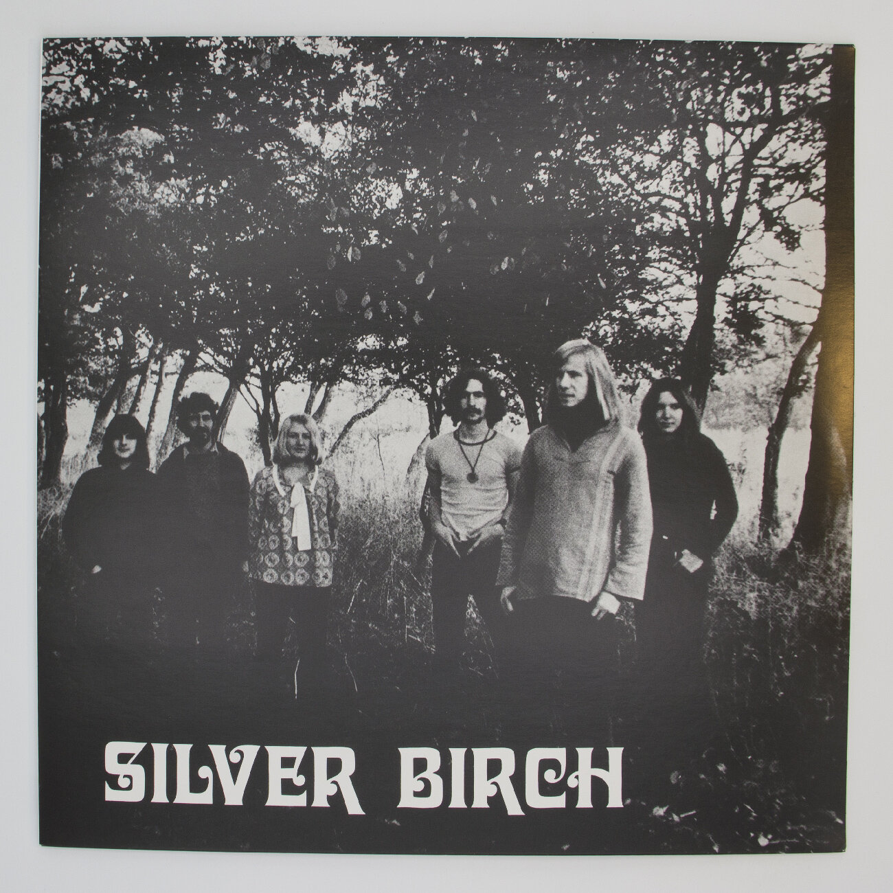 Виниловая пластинка Silver Birch - Ushers Well, 1xLP, NM
