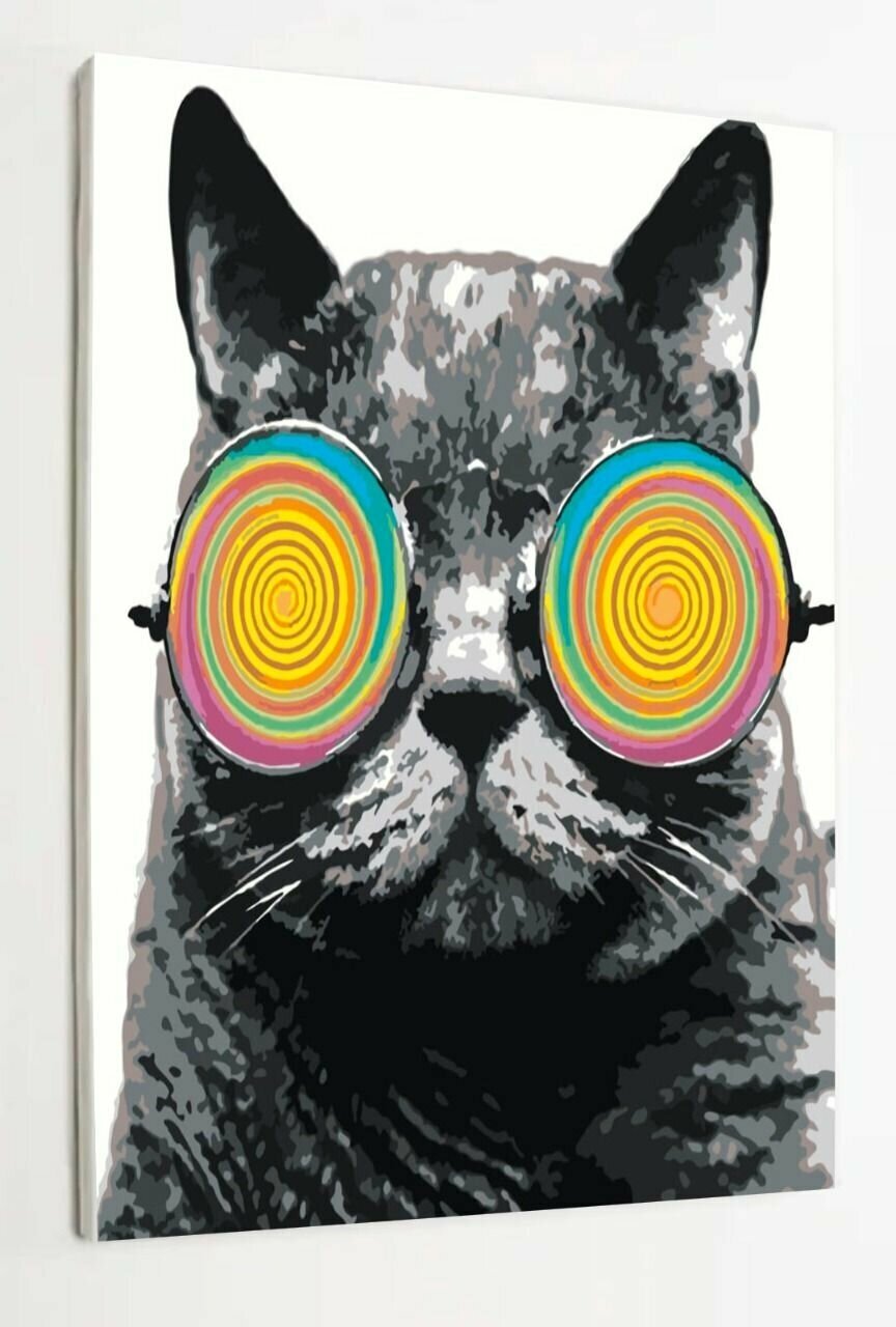 Картина по номерам на холсте с подрамником, Кот в очках, 40х40 см