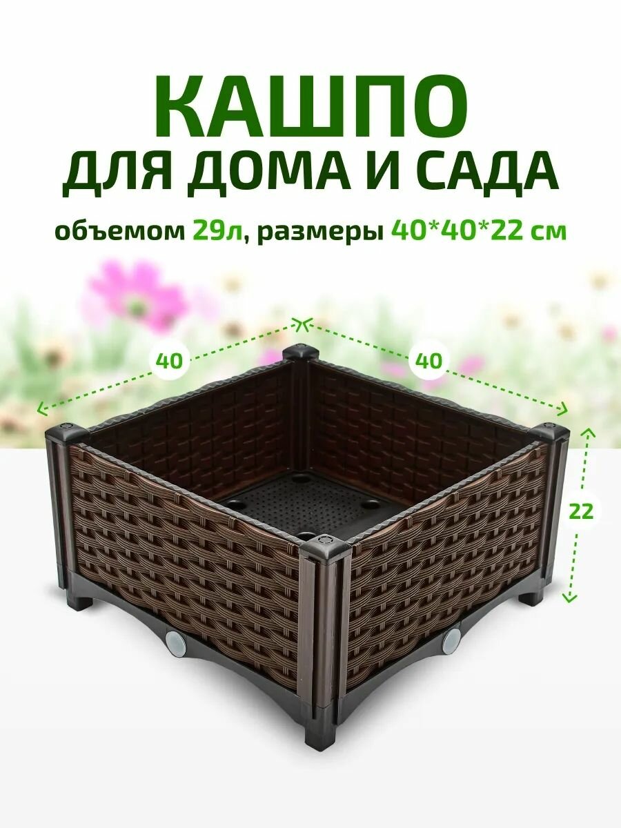 Грядка — фото 1