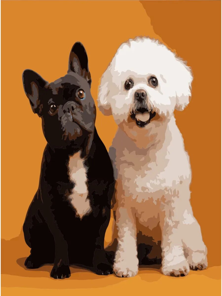 Картина по номерам 30x40 см собачки