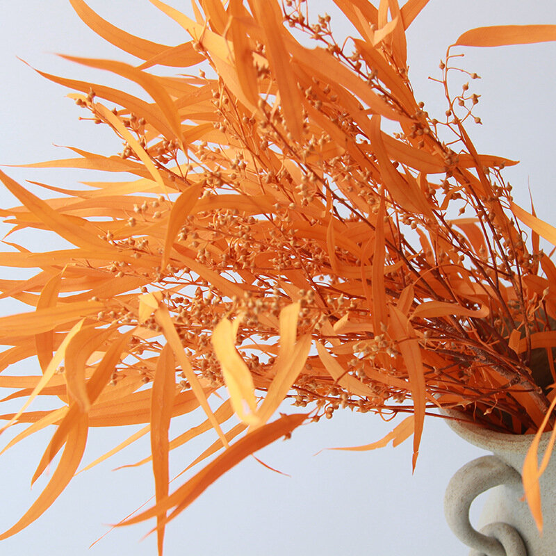 Букет Raffer Quality Dried Flowers, листья эвкалипта, 100-120г