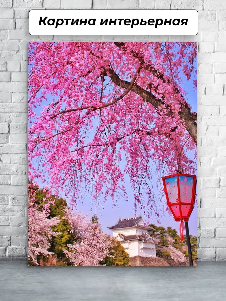 Картина 50х70 Сакура