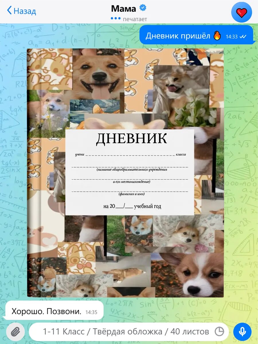 Школьный дневник с принтом y2k pinterest
