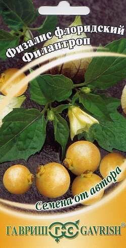 Физалис Филантроп 20шт. автор. (Гавриш)