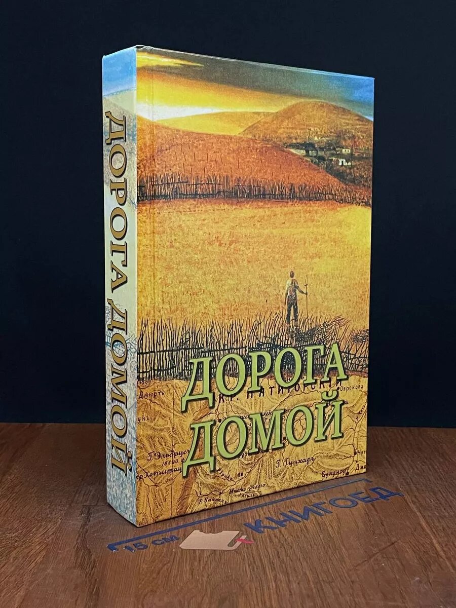 Книга. Дорога домой 2011 (2040801053933)