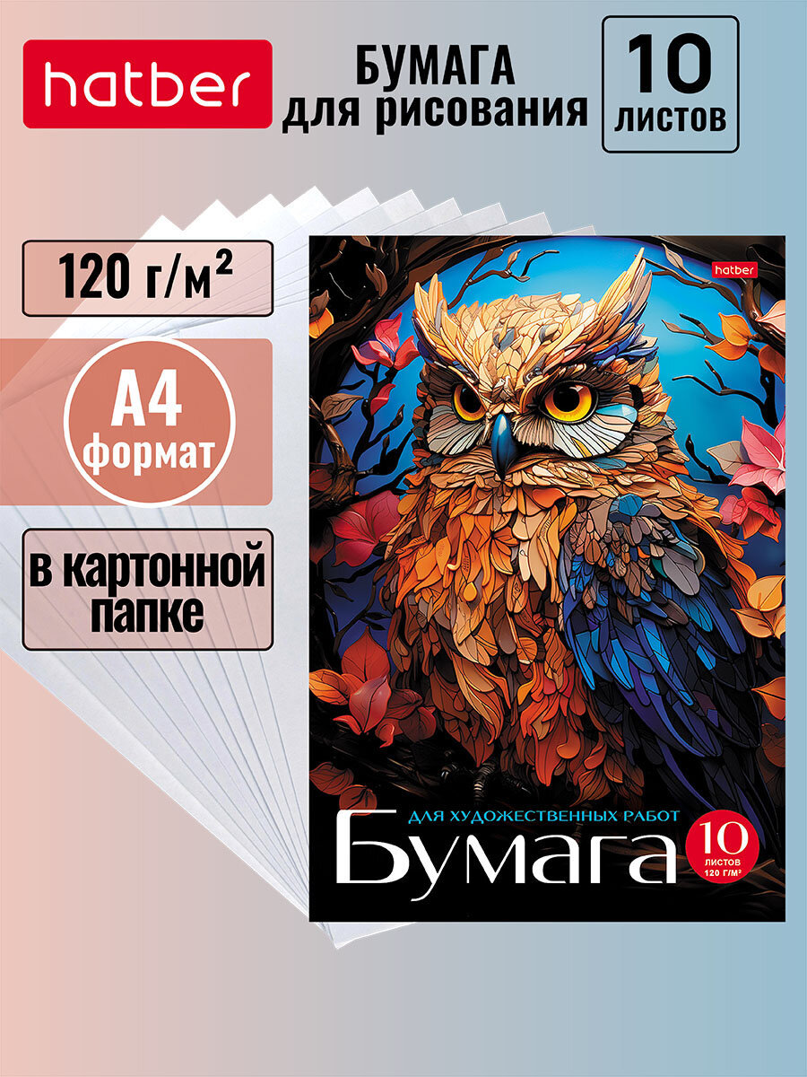 Набор бумаги для рисования и художественных работ 10 листов А4 120г/кв. м в папке, тиснение-Мудрая сова-