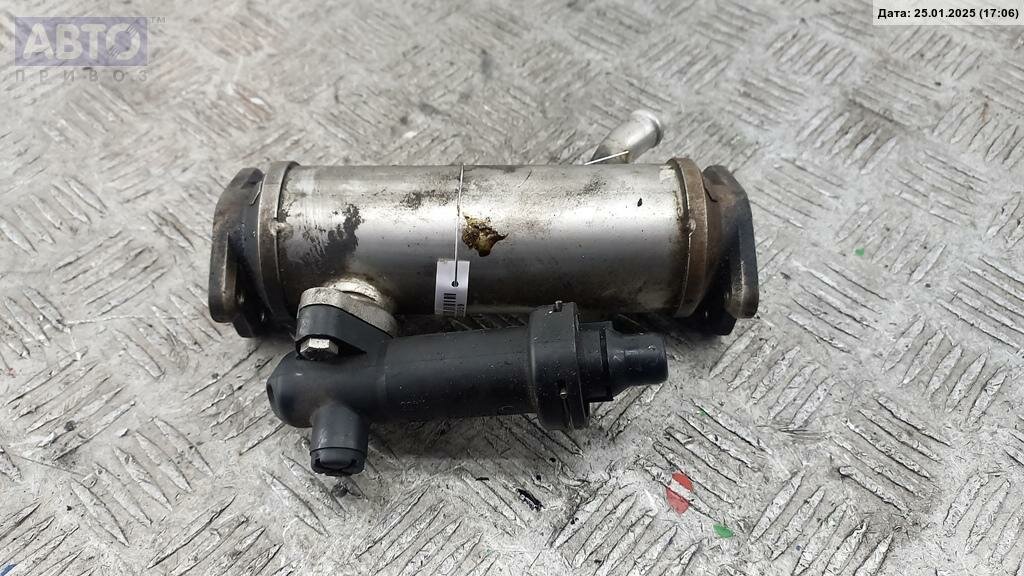 Охладитель отработанных газов BMW 3 E46 (1998-2006)