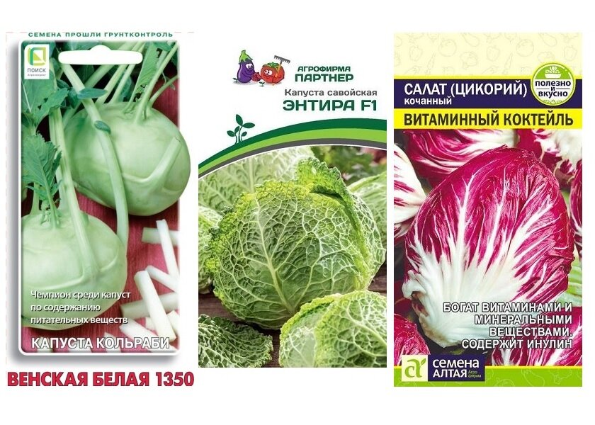Набор семян Витаминное изобилие (Салат Витаминный коктейль, Капуста кольраби Венская белая, Капуста савойская Энтира)