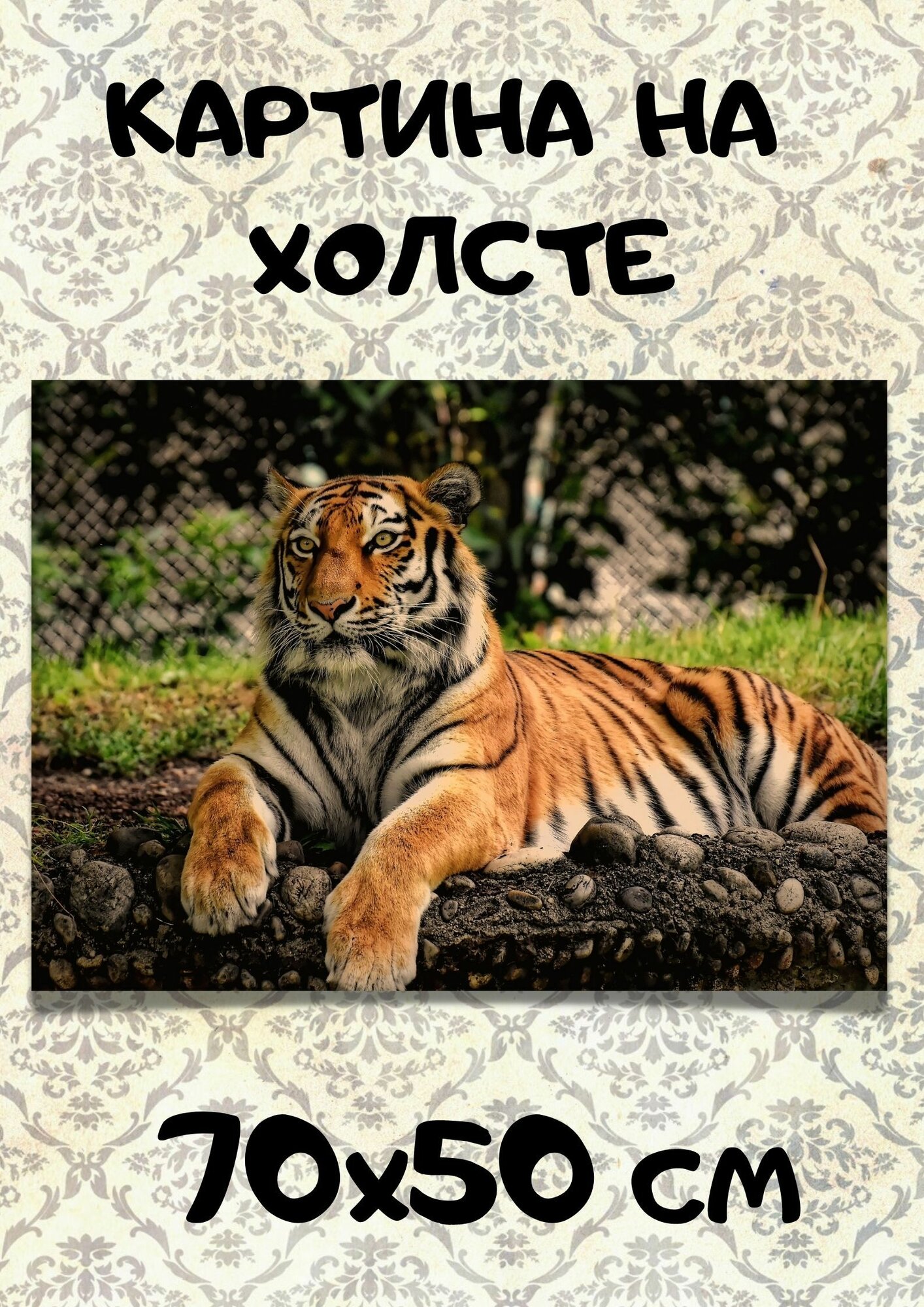 Картина с дикими животными "Тигр отдыхает" 70х50 см
