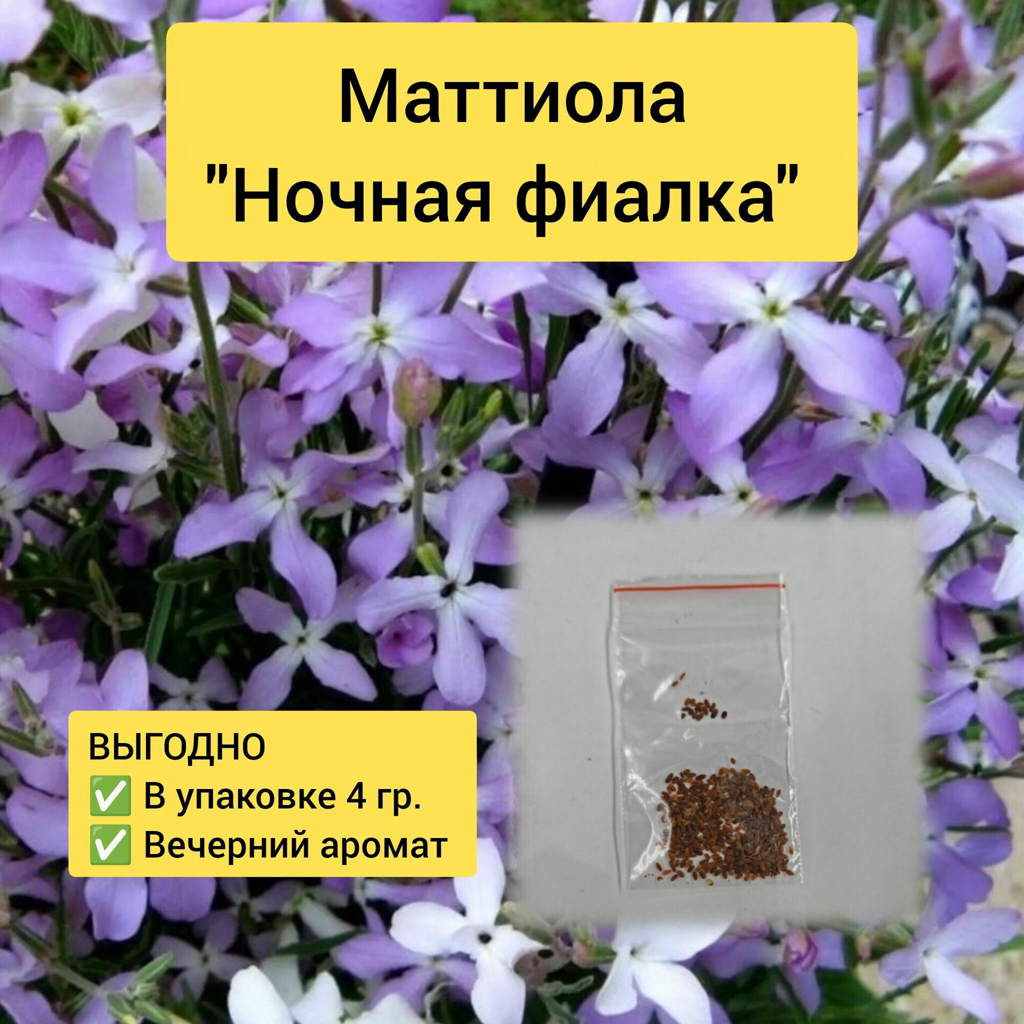Семена маттиолы "Ночная фиалка", 4 г, для улицы, многолетние, аромат, высота 20 см