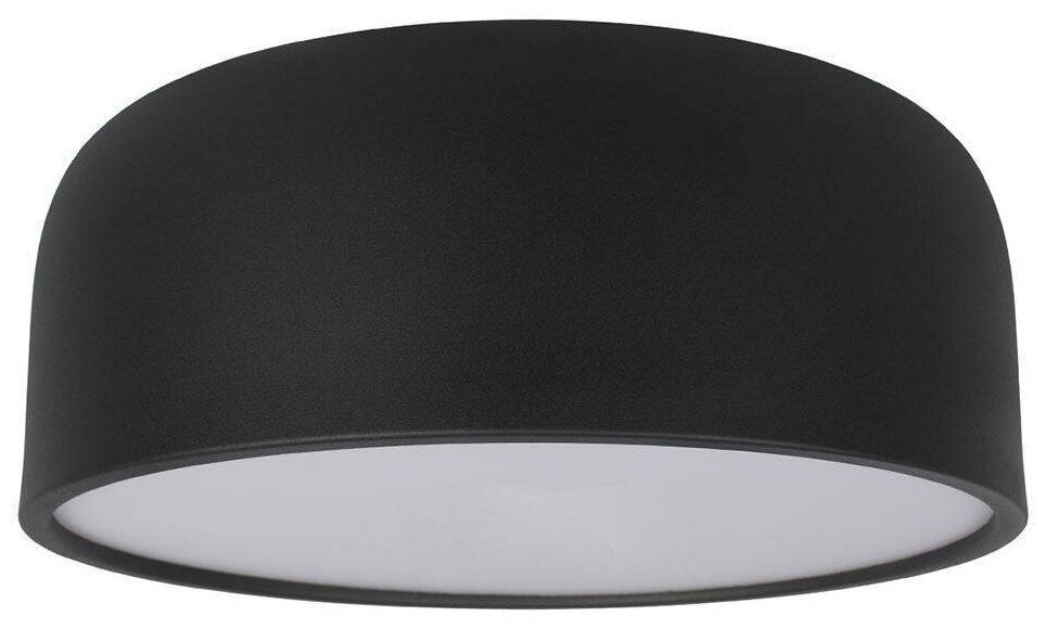 Потолочный светодиодный светильник Loft IT Axel 10201/350 Black